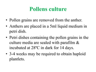 Plant tissue culture | PPTX