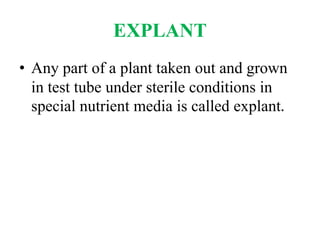 Plant tissue culture | PPTX