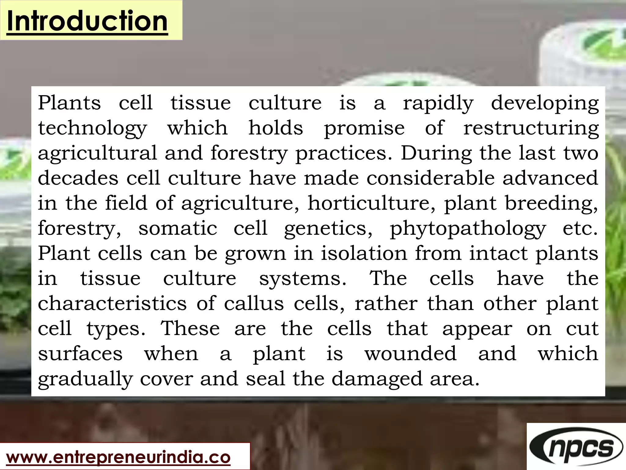 Plant Tissue Culture | PDF