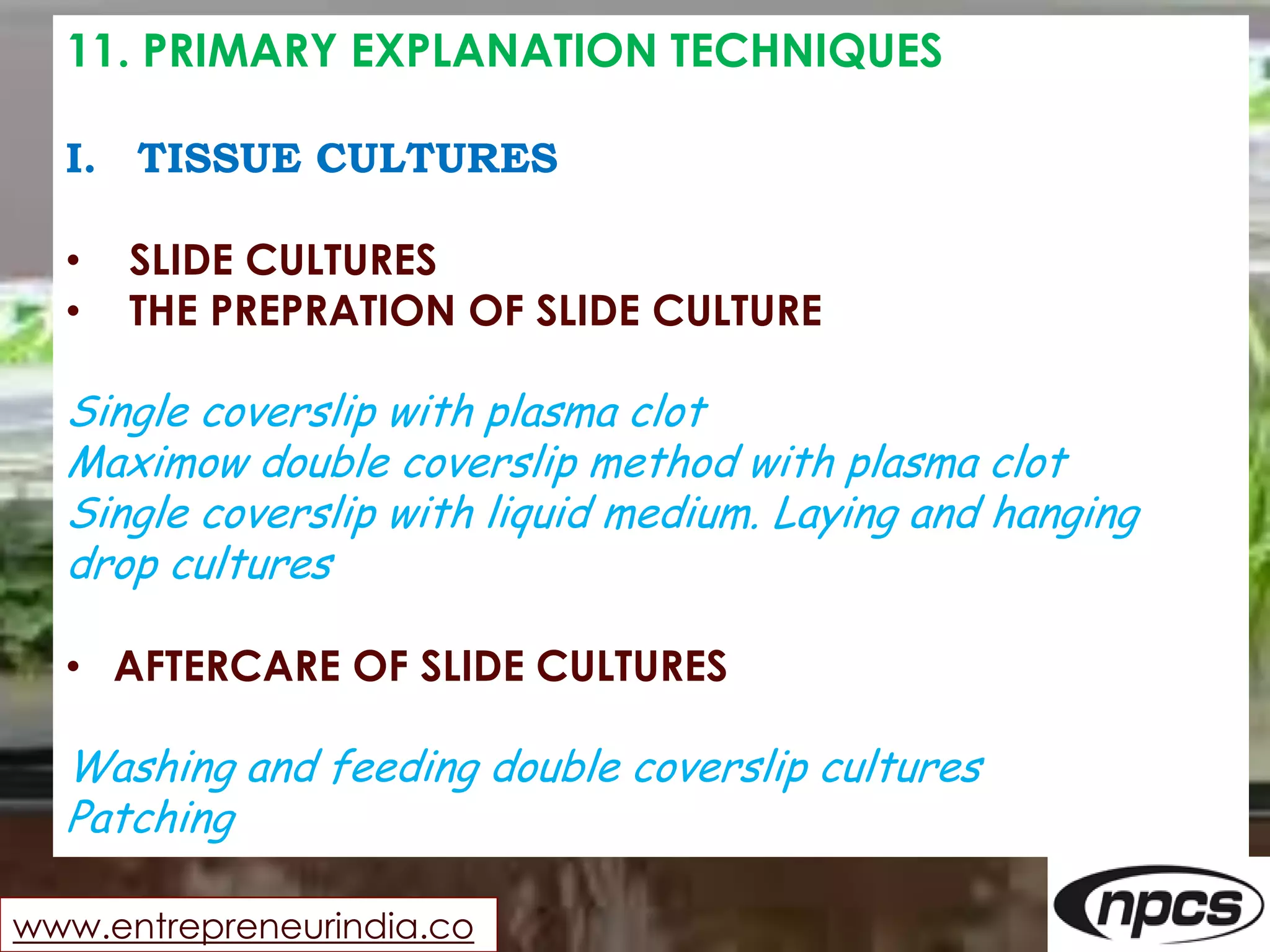 Plant Tissue Culture | PDF