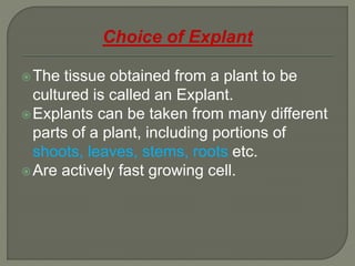 Plant tissue culture | PPTX