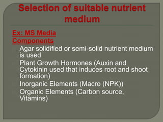 Plant tissue culture | PPTX