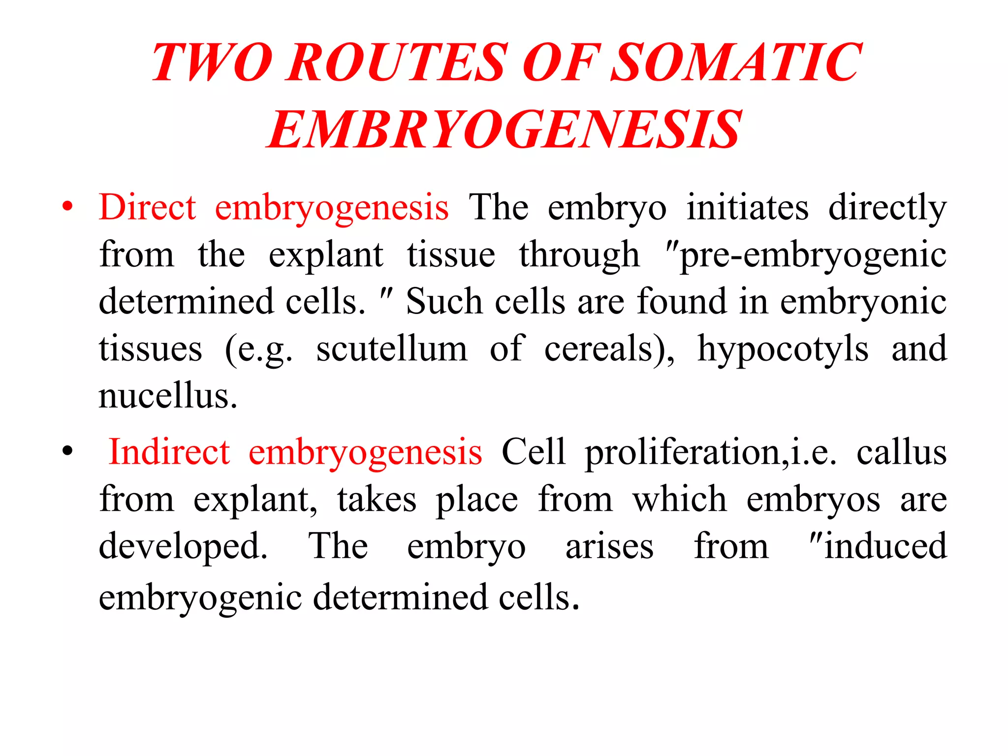 Plant tissue culture | PPTX