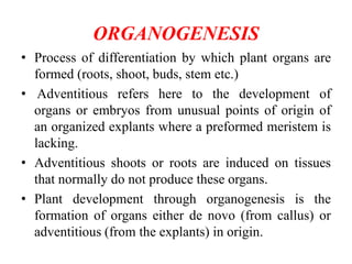 Plant tissue culture | PPTX