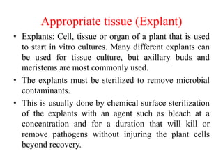 Plant tissue culture | PPTX