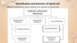 Plant tissue culture | PPT
