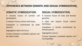 Plant tissue culture | PPT
