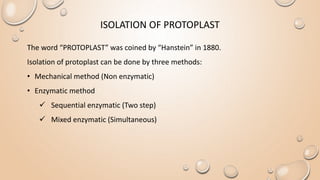Plant tissue culture | PPT