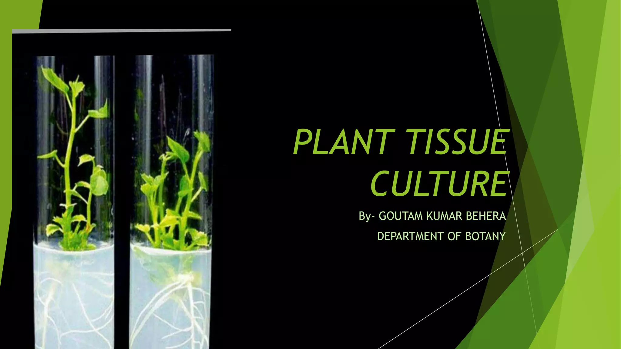 Plant tissue culture | PPTX