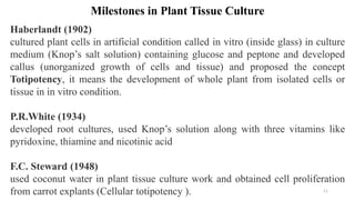 Plant tissue culture | PPTX