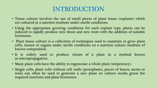 Plant tissue culture | PPTX