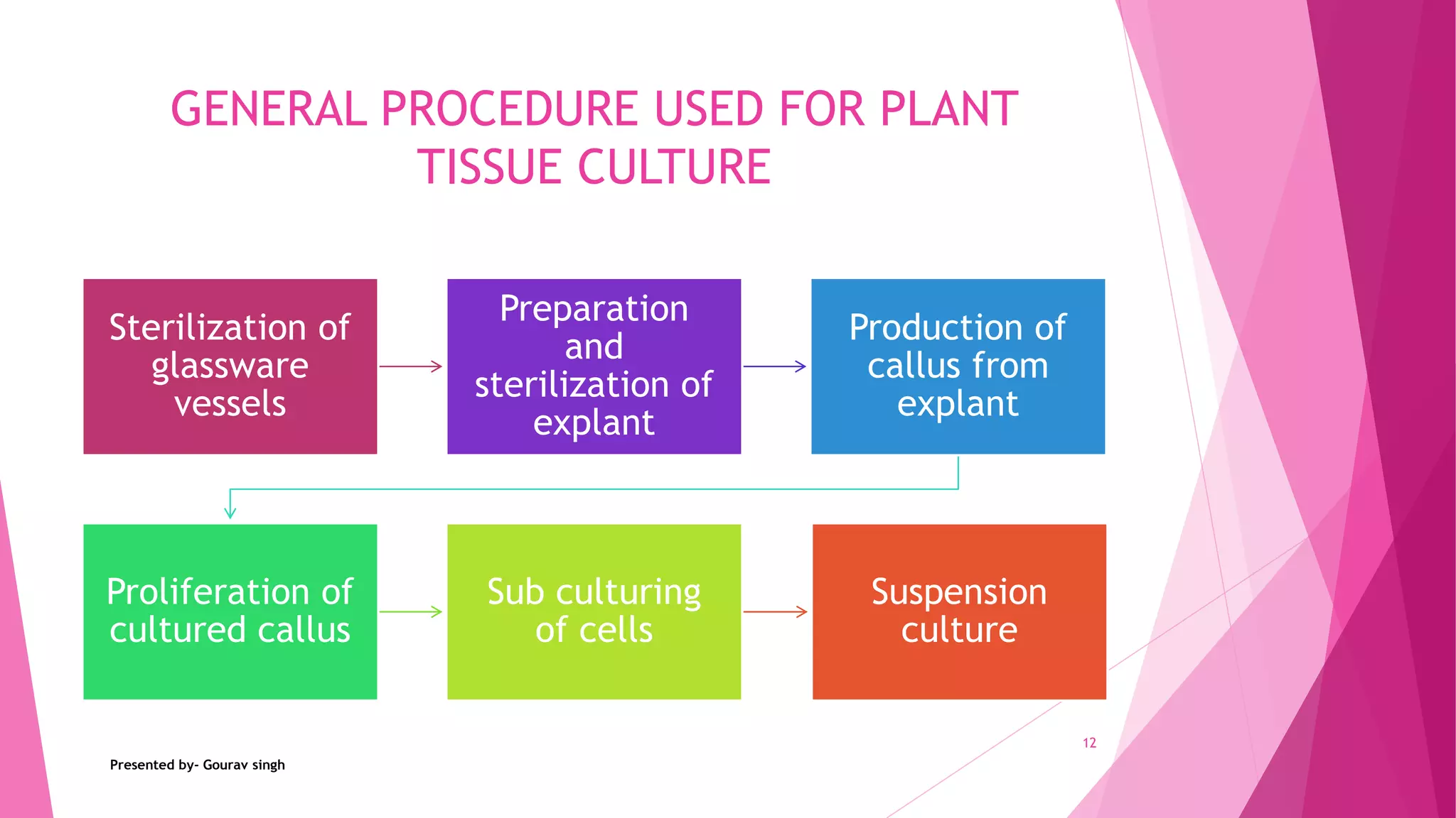 Plant tissue culture | PPTX
