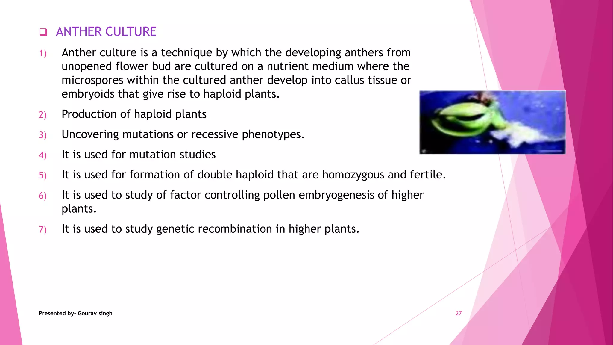 Plant tissue culture | PPTX | Biological Sciences | Science