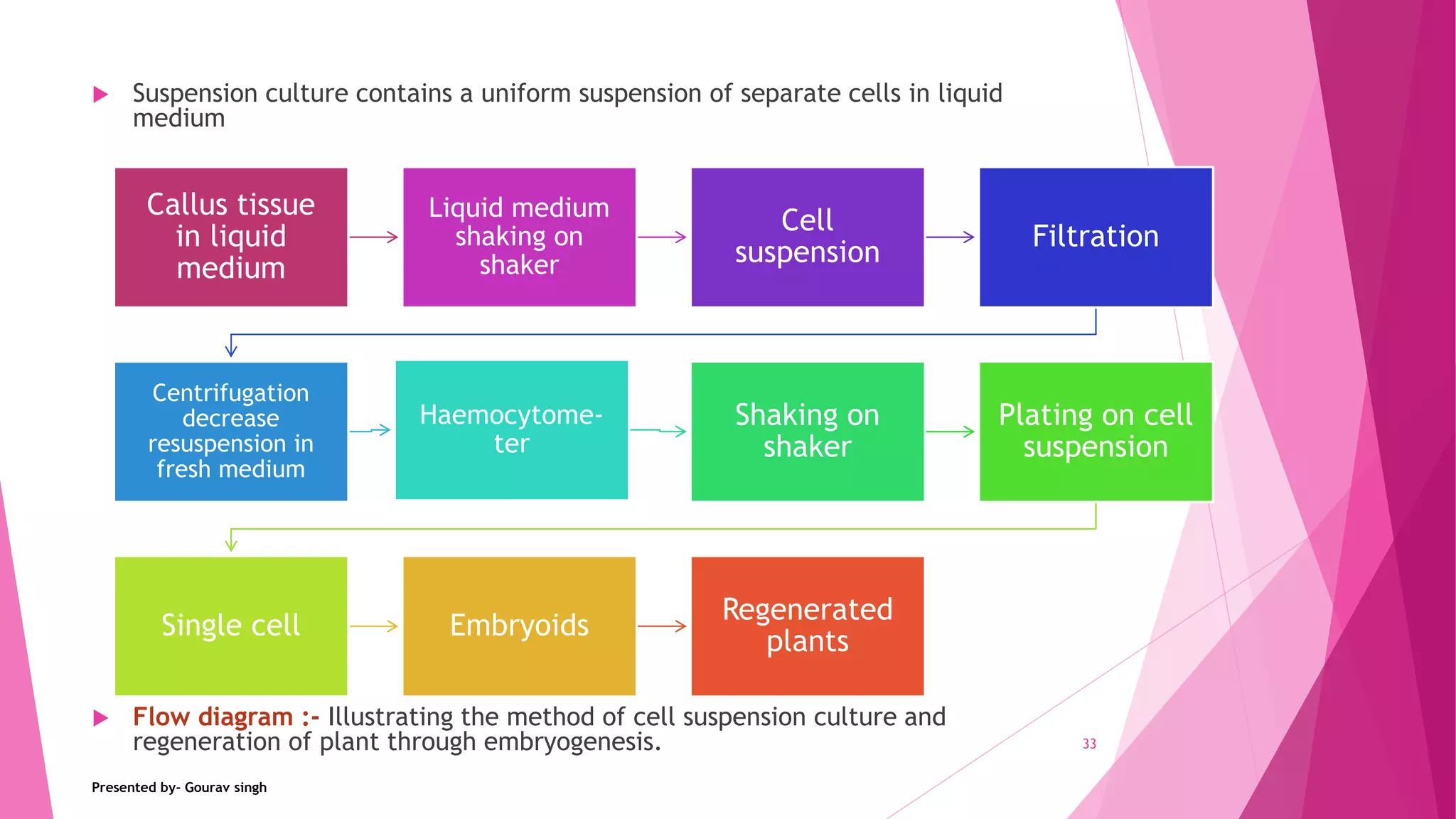 Plant tissue culture | PPTX