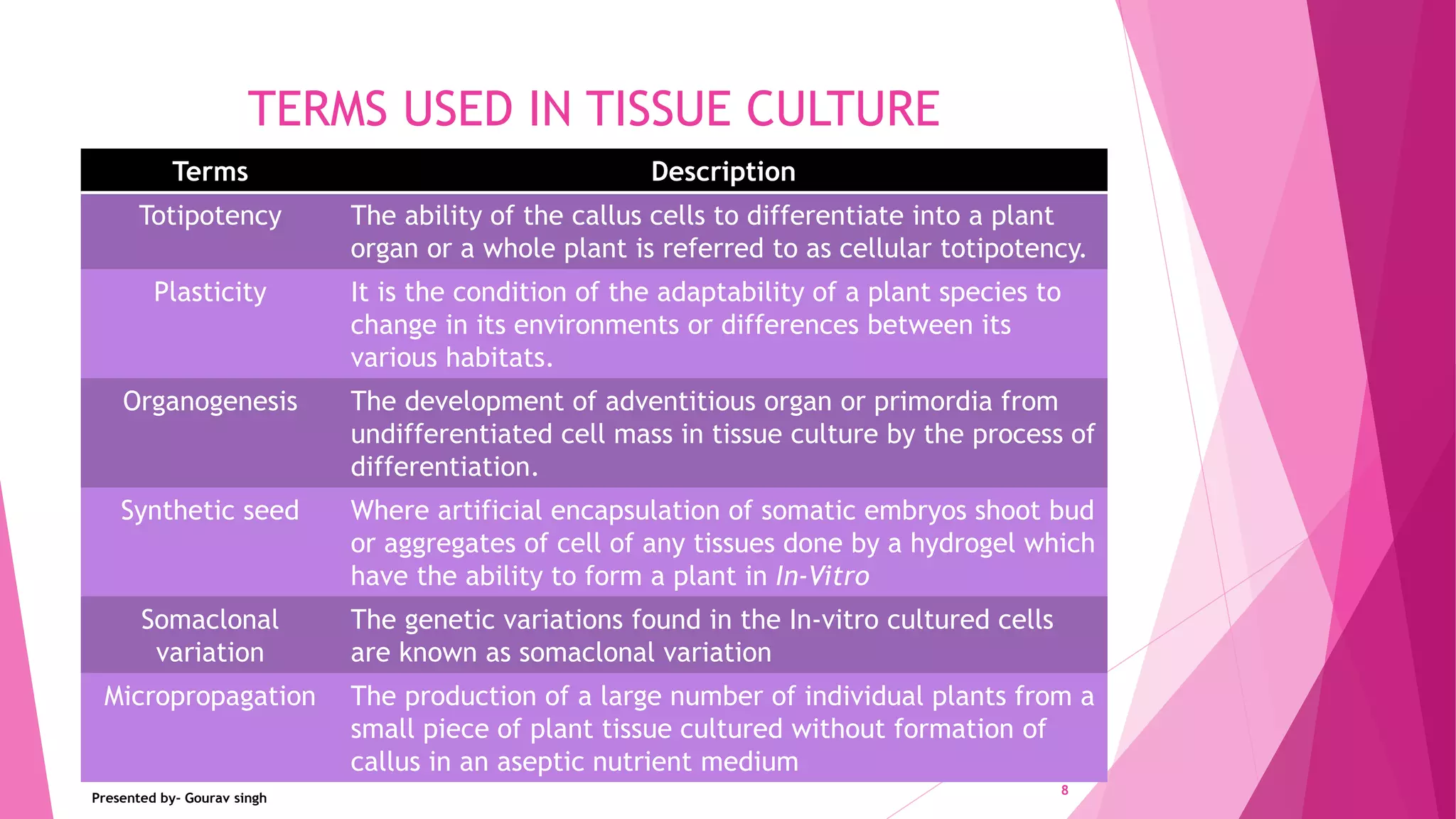 Plant tissue culture | PPTX