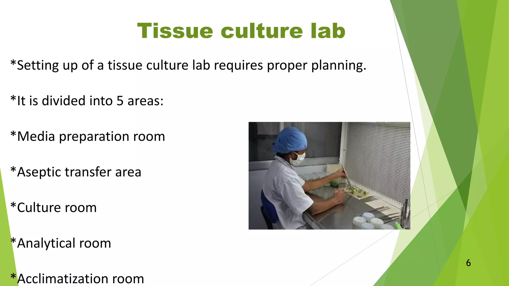 Plant tissue culture | PPTX