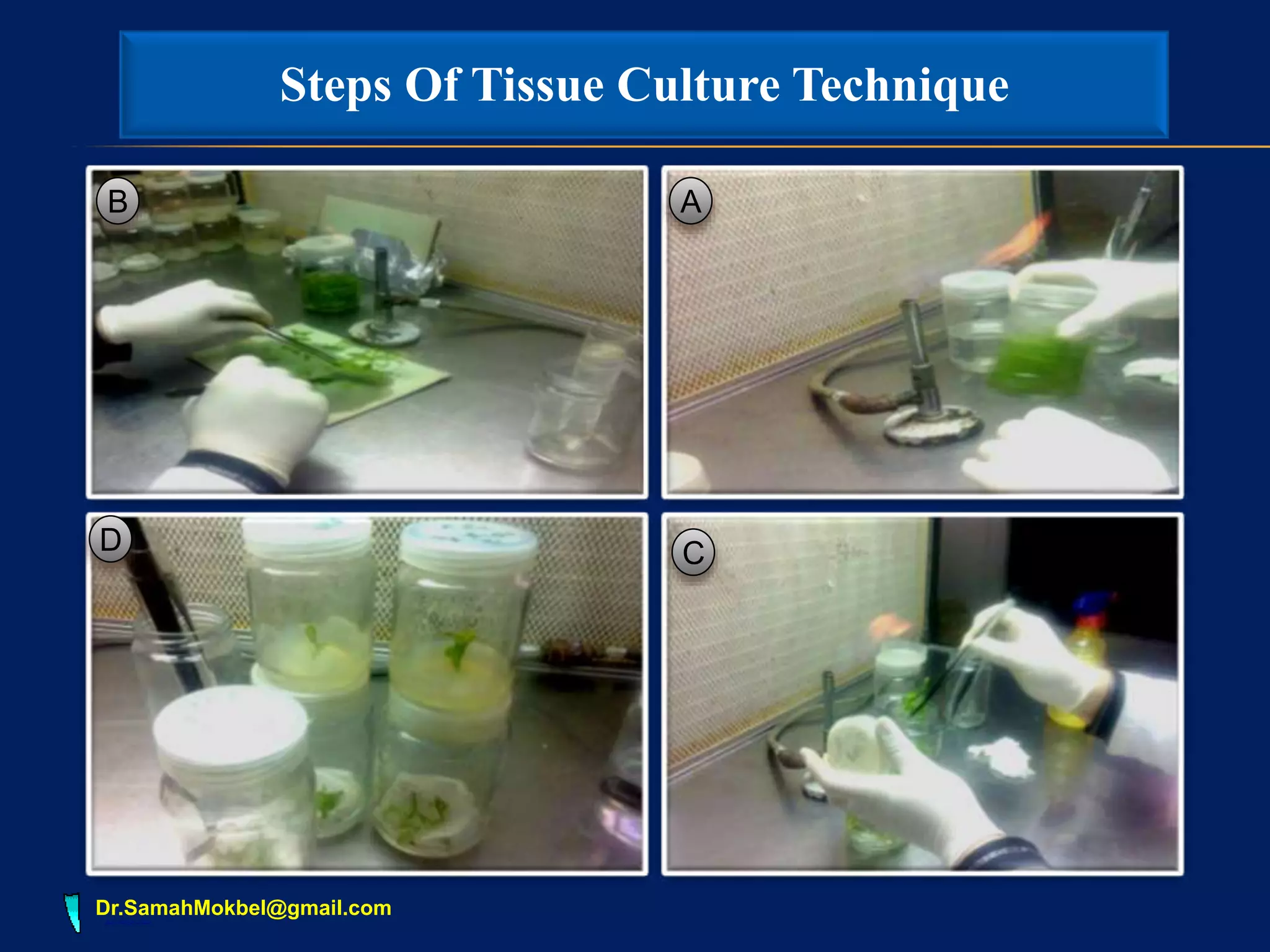 Plant tissue culture | PPT