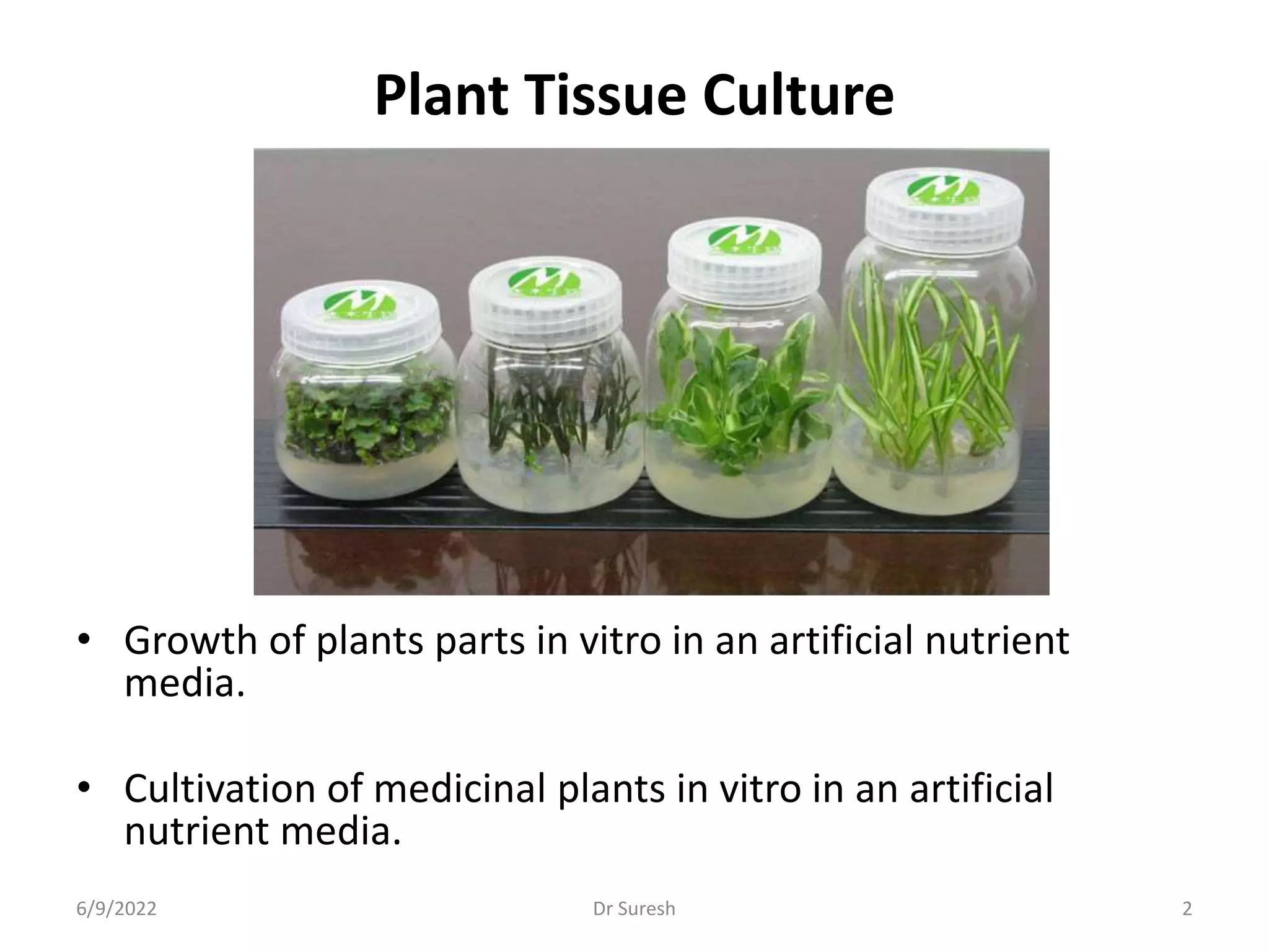 Introduction to Plant Tissue Culture.pptx