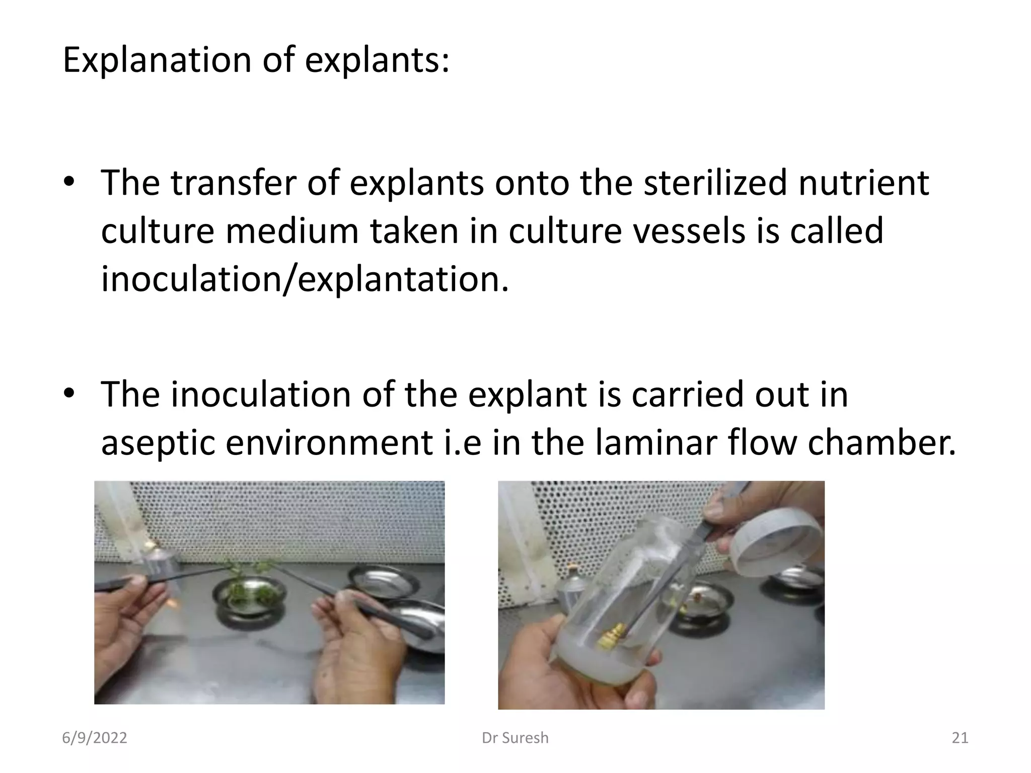 Introduction to Plant Tissue Culture.pptx