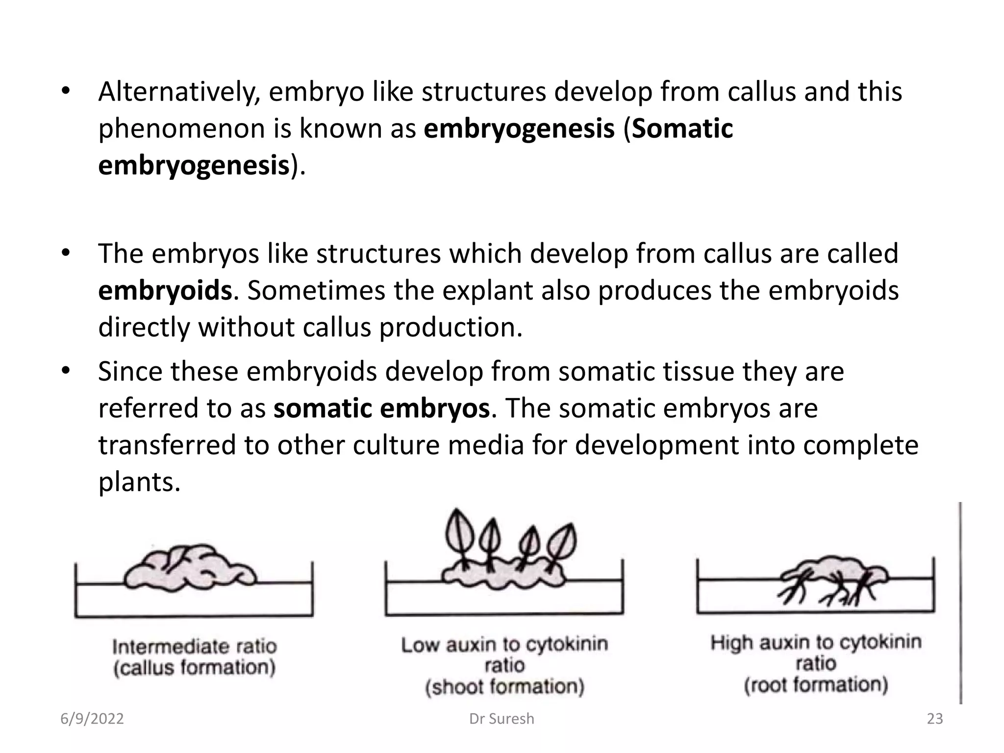 Introduction to Plant Tissue Culture.pptx