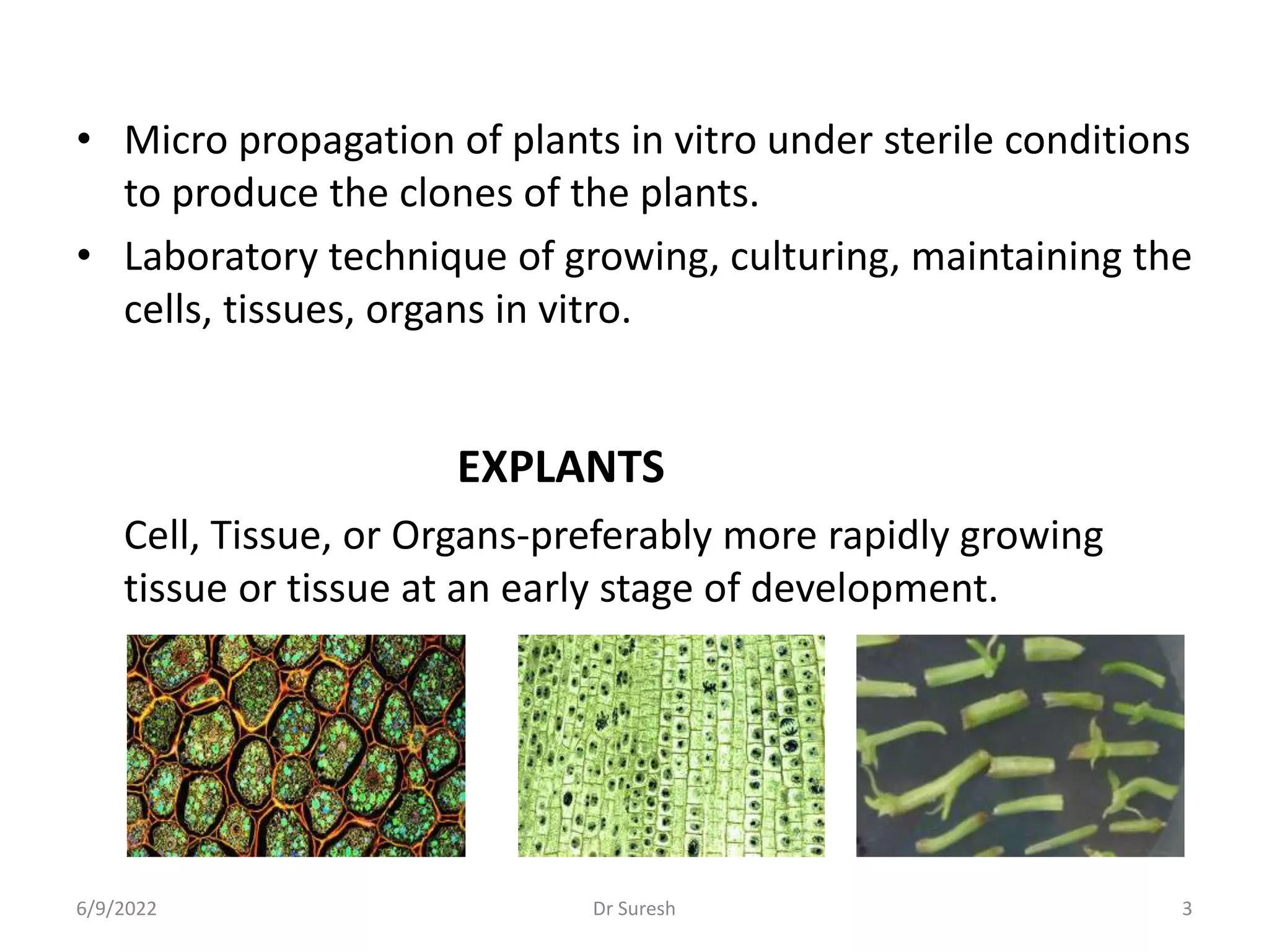 Introduction to Plant Tissue Culture.pptx