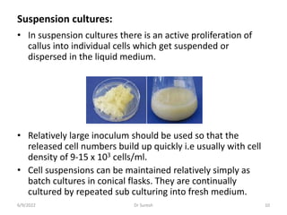 Introduction to Plant Tissue Culture.pptx
