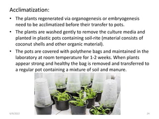 Introduction to Plant Tissue Culture.pptx