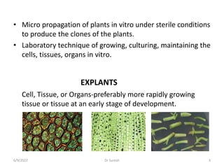 Introduction to Plant Tissue Culture.pptx