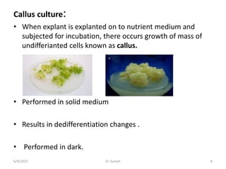 Introduction to Plant Tissue Culture.pptx