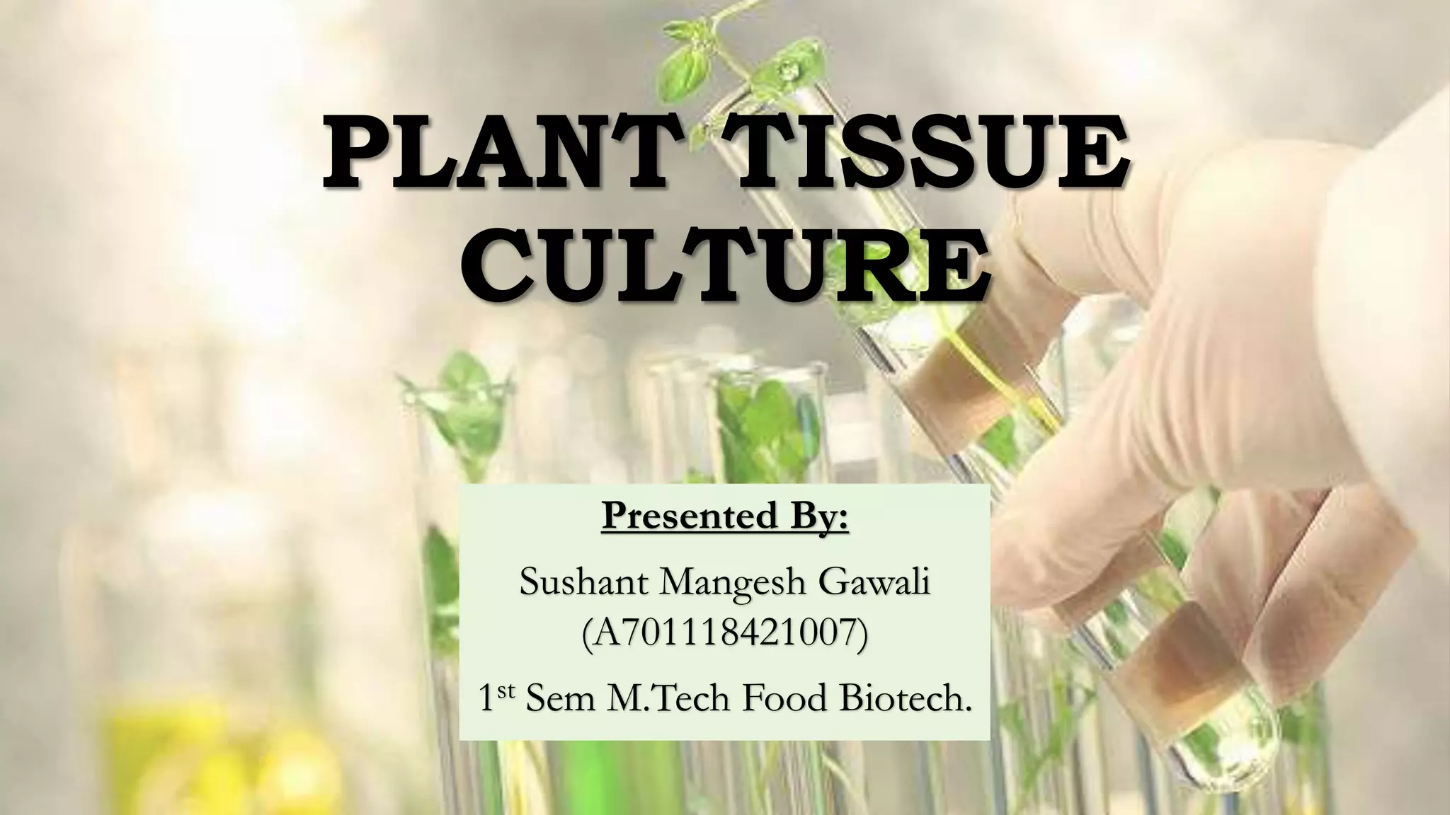 Plant Tissue Culture | PPTX