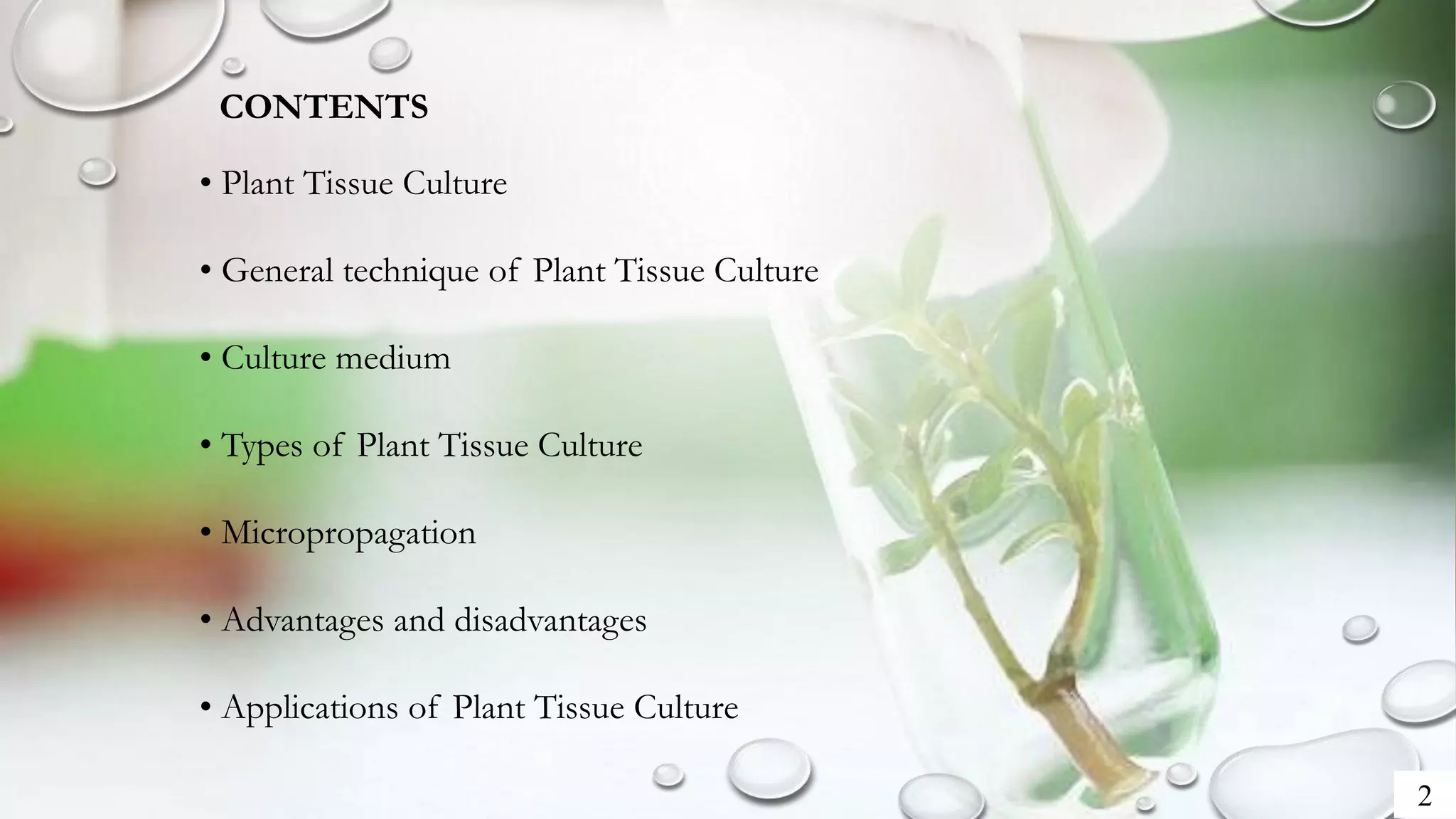 Plant Tissue Culture | PPTX