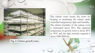 Plant Tissue Culture | PPTX