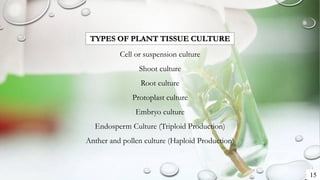 Plant Tissue Culture | PPTX