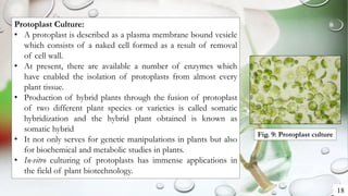 Plant Tissue Culture | PPTX