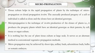 Plant Tissue Culture | PPTX
