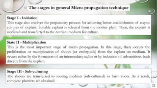 Plant Tissue Culture | PPTX