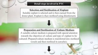 Plant Tissue Culture | PPTX