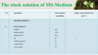 Plant Tissue Culture | PPTX