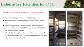 Plant Tissue Culture | PPTX
