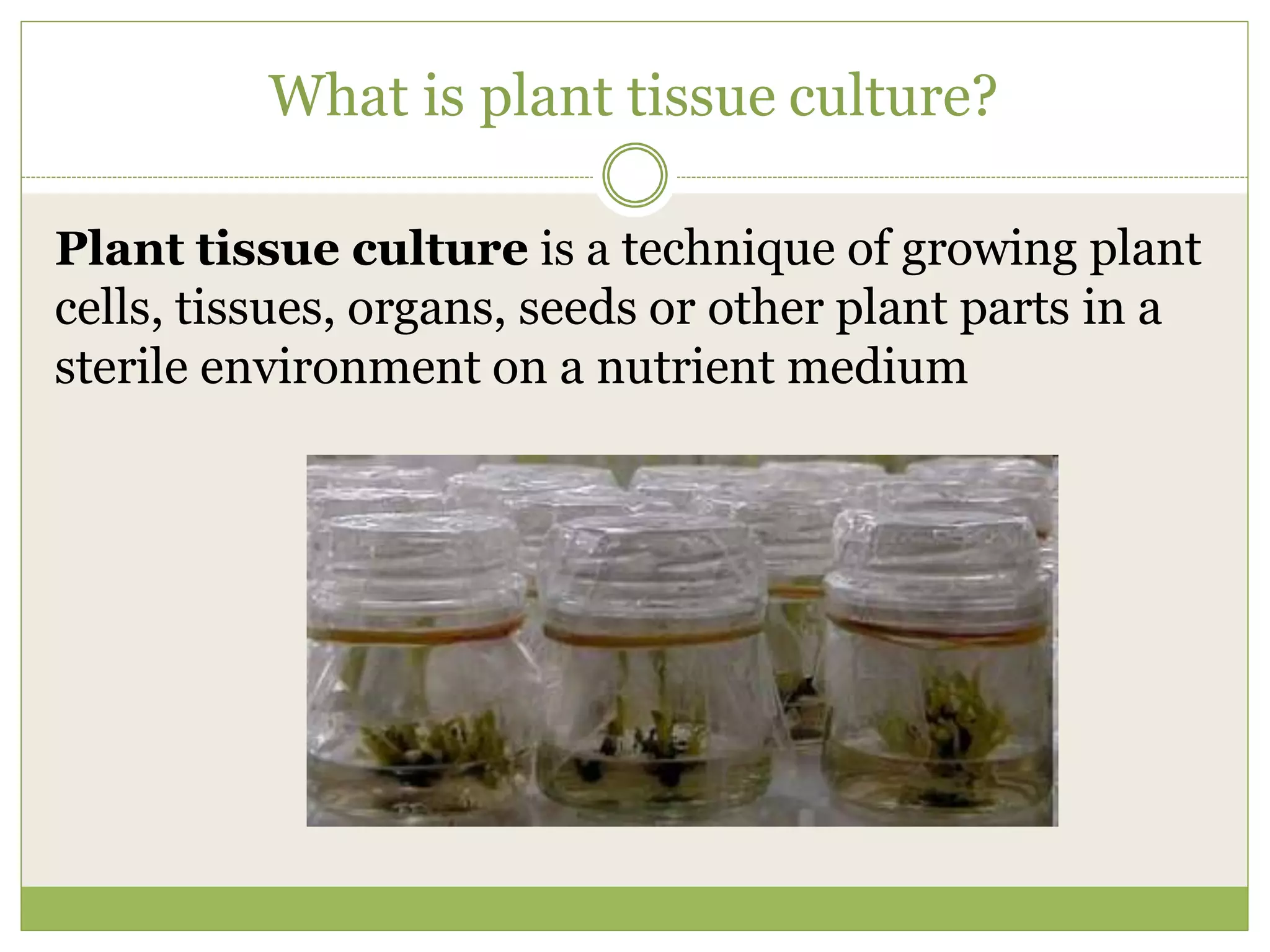 plant tissue culture.pptx
