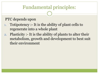 plant tissue culture.pptx