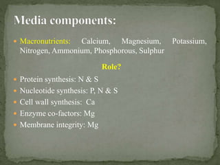 plant tissue culture.pptx