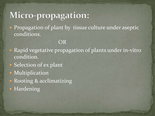 plant tissue culture.pptx