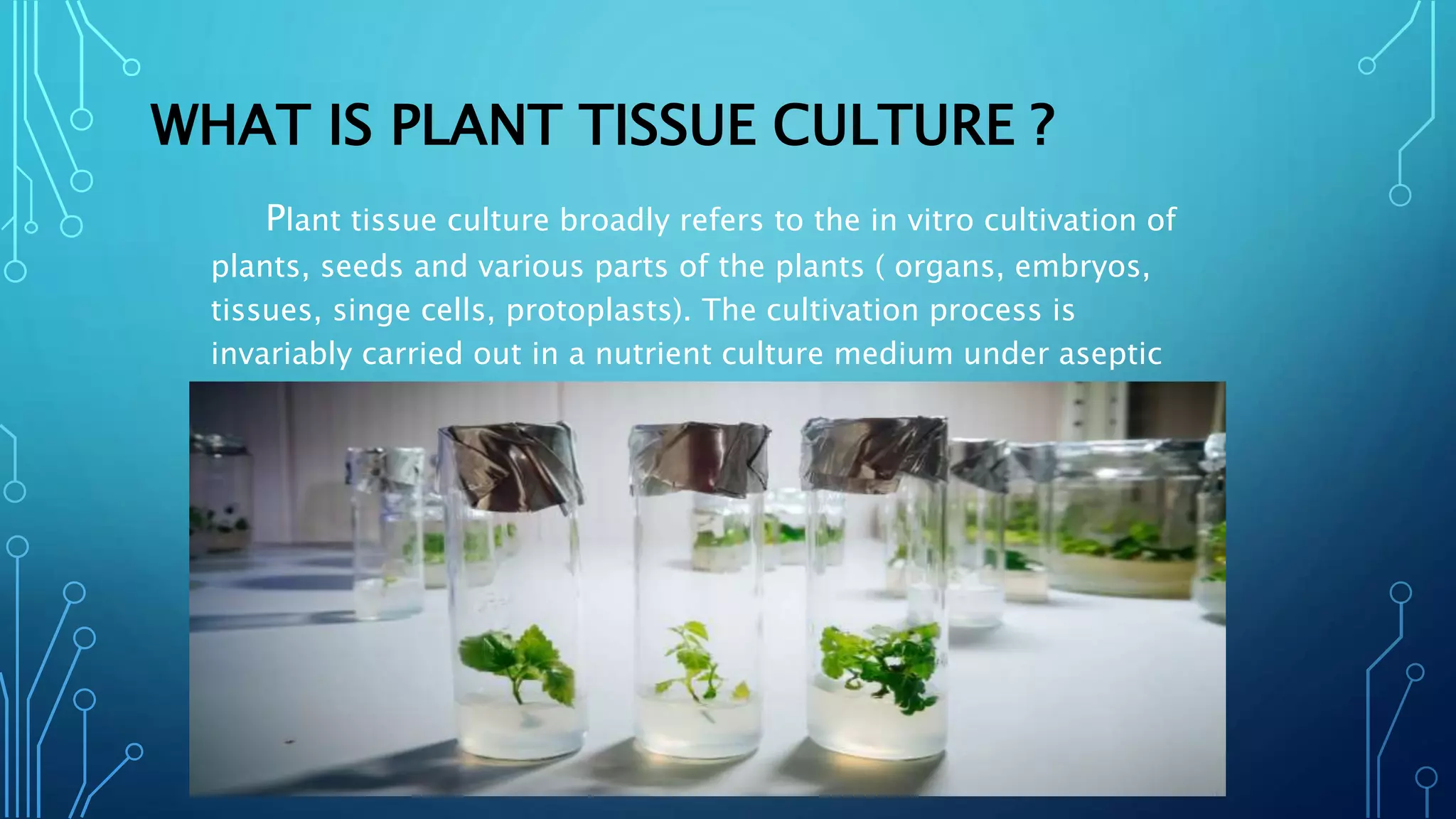PLANT TISSUE CULTURE.pptx