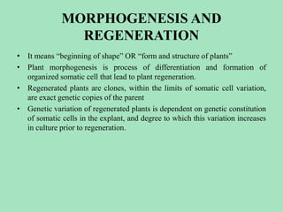 plant tissue culture technique and importance | PPTX