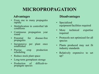 plant tissue culture technique and importance | PPT
