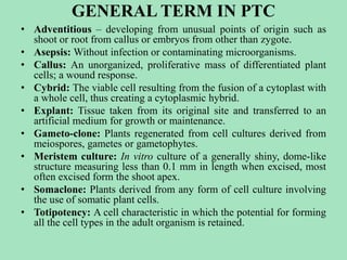 plant tissue culture technique and importance | PPTX