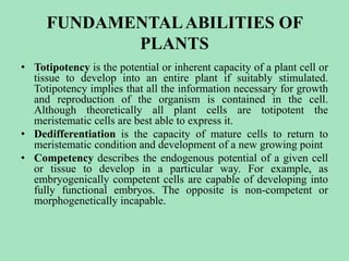 plant tissue culture technique and importance | PPTX