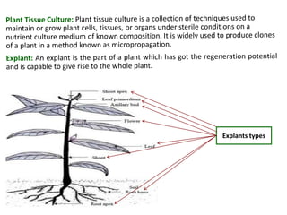 Plant tissue Culture pharmacognosy and phytochemistry I Unit 3 | PPTX