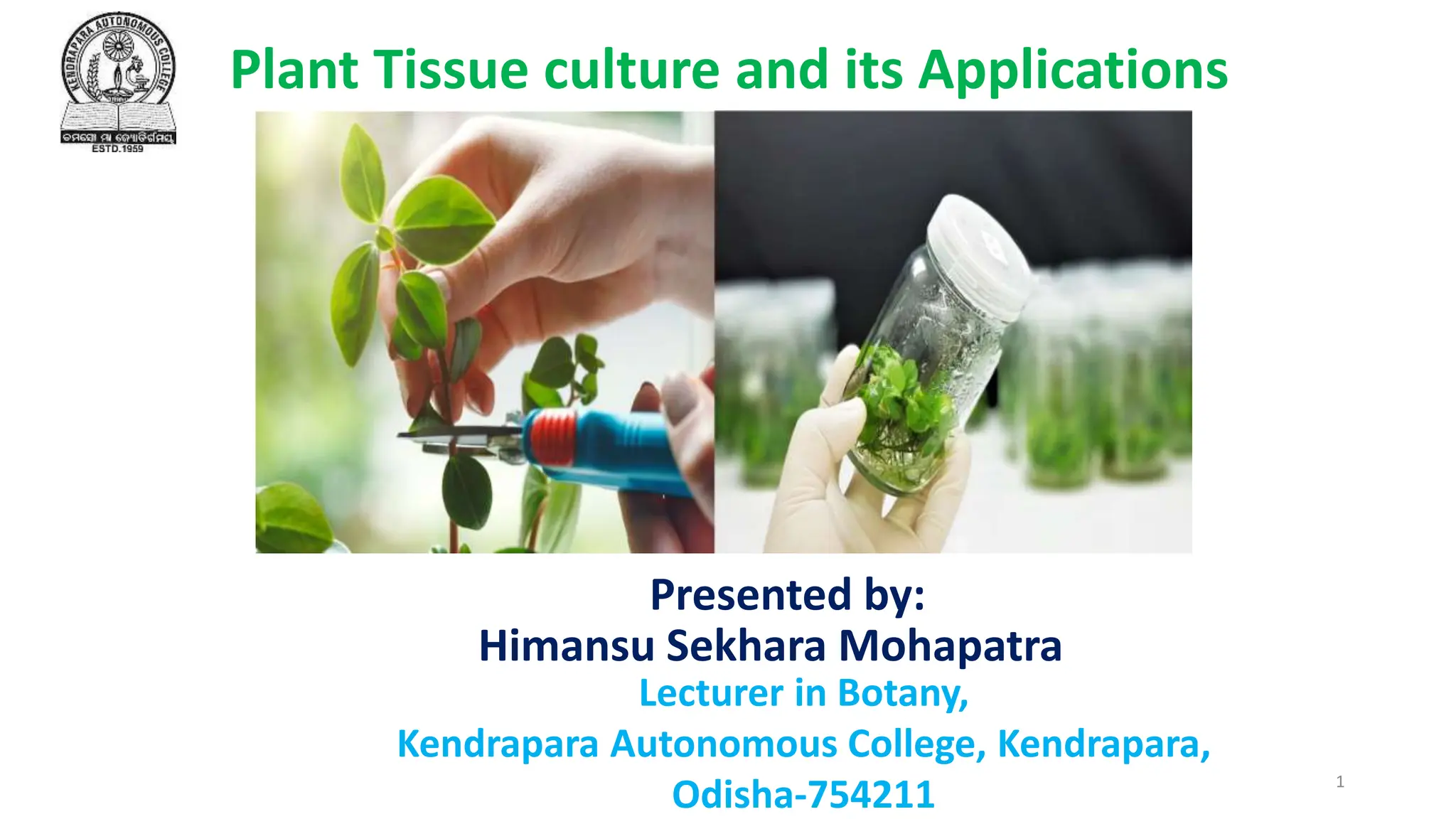 Plant Tissue culture., Plasticity, Totipotency, pptx | PPTX